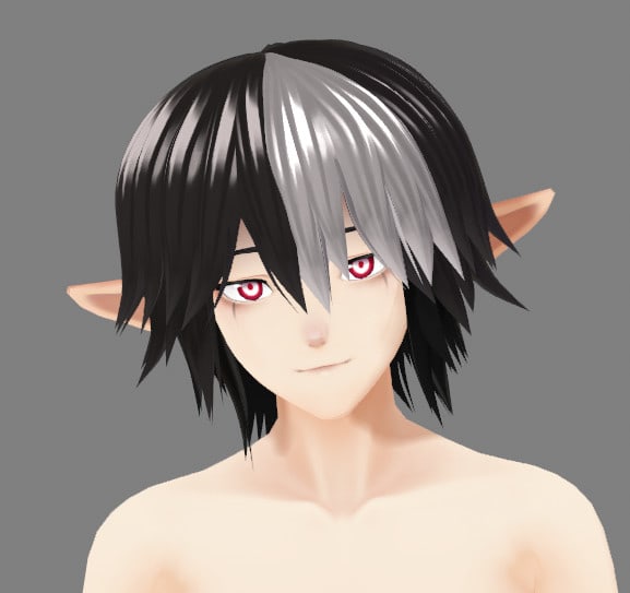 Make you a custom vroid model by Wolphfe | Fiverr