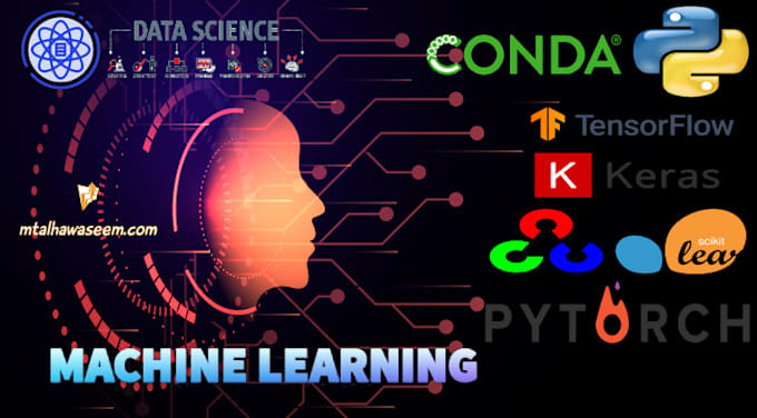 Do data science, machine and deep learning projects in python by Talha ...