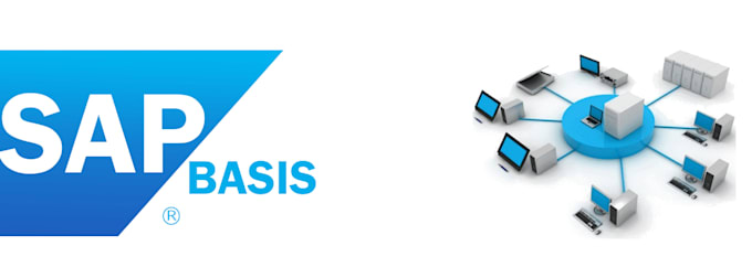 Perform sap basis related tasks by Rahul_d_sharma | Fiverr