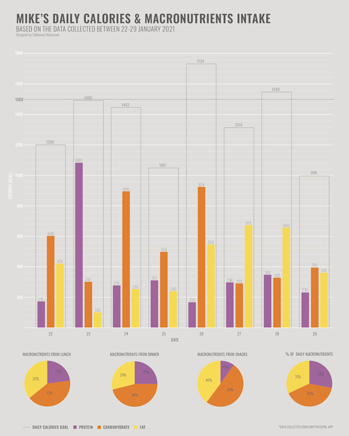 Visualize your data, excel dashboard by using visual graphic by ...