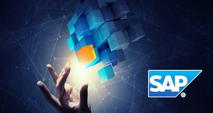 Sap Abap Development And Supportsap Successfactors By Verticaldot 123 Fiverr