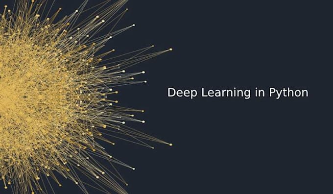 Create networks and models using python by Sonath77 | Fiverr