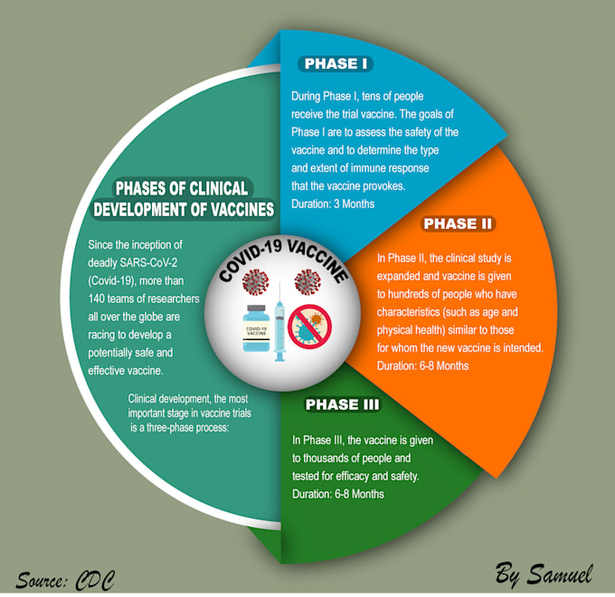 Design a professional infographic by Samuel_sd | Fiverr