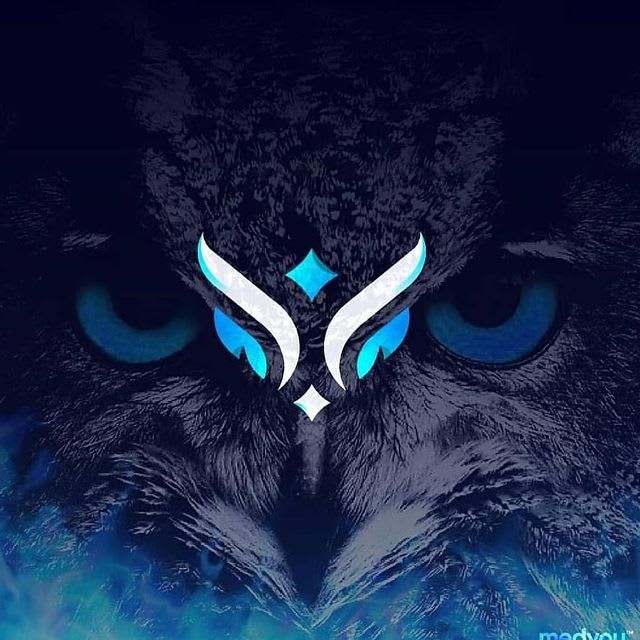 Design professional versatile logo by Logo_lock_ | Fiverr