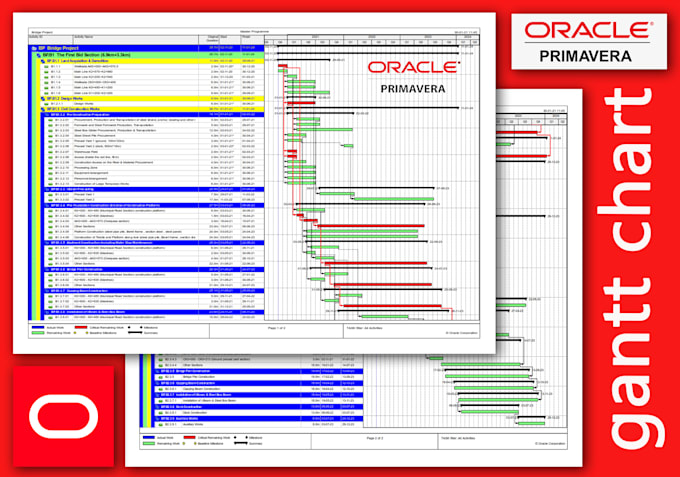Create construction programs using primavera by Walk3d | Fiverr