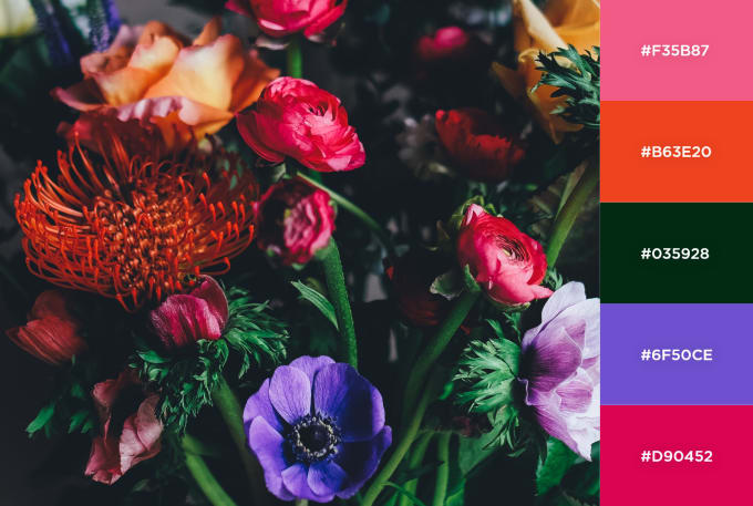 Create a professional color palette for your brand, website, products ...