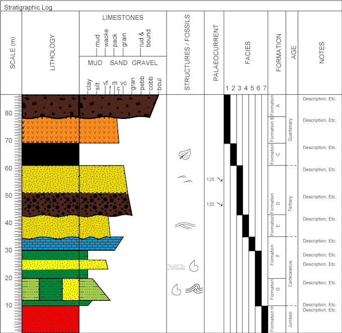 Create a professional stratigraphic sediment log ms for your geology ...