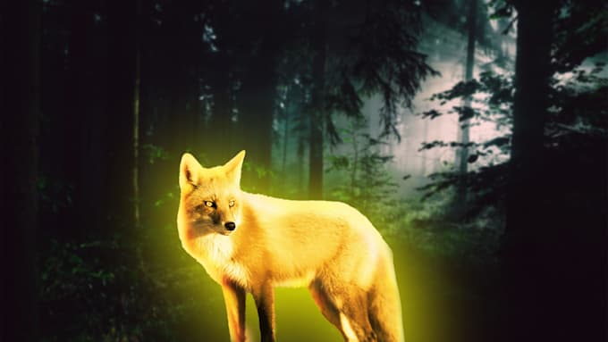 Create youtube thumbnail for you by Subhojit_dey | Fiverr