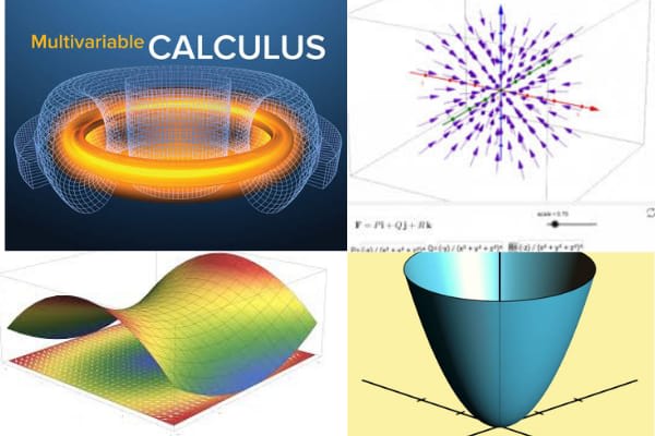 Assist you in vector calculus multivariable calculus and differential ...