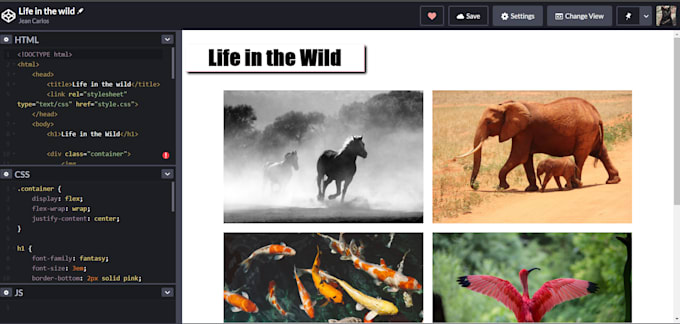 Help you to edit or fix your html, css, js code by Jeancsr | Fiverr