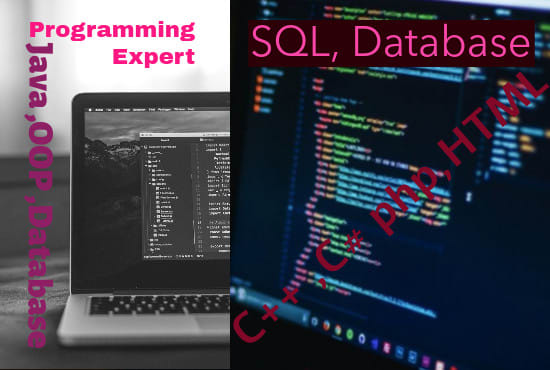 Do Programming Task Cpp C Sharp Html Php Css Javascript Java Database Sql By Muhammad50999 Fiverr