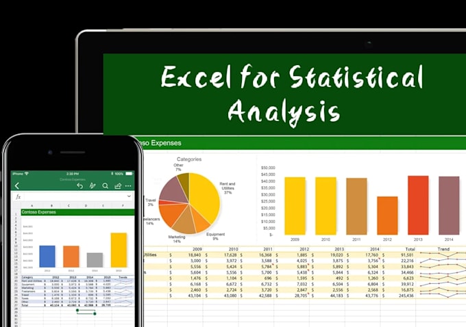 Do statistical analysis using excel by Nermin5 | Fiverr