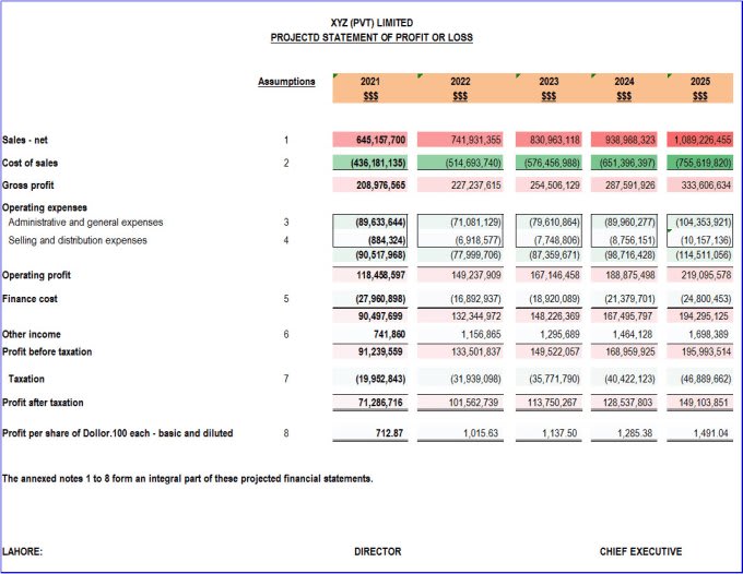 Provide financial projections, forecast, business plan by ...