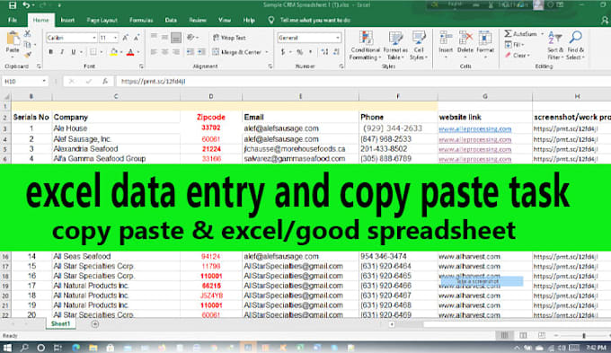 Do perfect excel data entry and copy paste by Imrulh137 | Fiverr