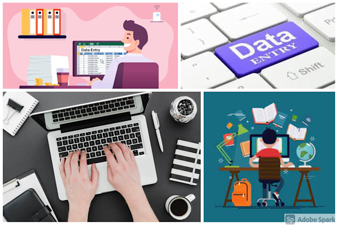 Data entry works in excel by Kdlr93218 | Fiverr