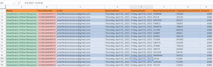 Provide a clean and concise data for reporting by Azziola | Fiverr