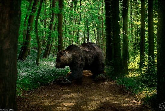 Create an epic photo manipulation scene by Designbyganda | Fiverr