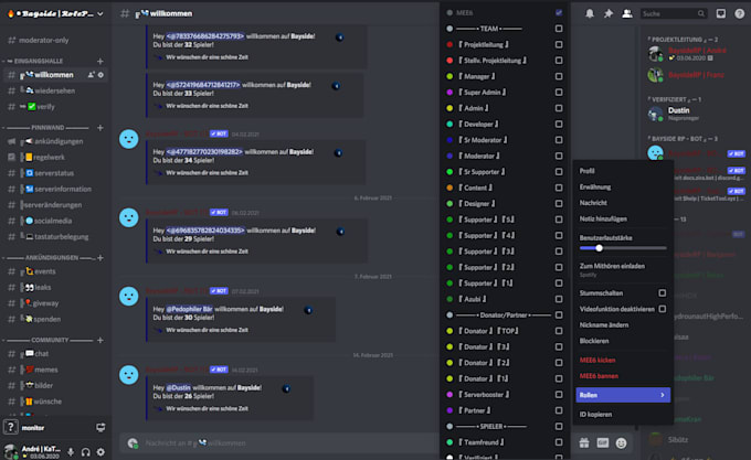 Professional discord design for your community by Januspanamus | Fiverr