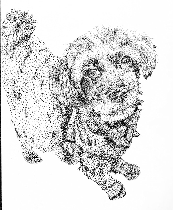 Draw your beloved animal with only dots by Adrawerinpurple | Fiverr
