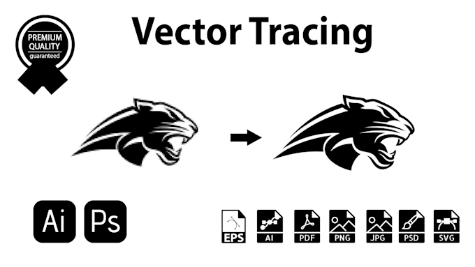 Do perfect vector tracing of any image, logo, sketch by Cmaaniyaa | Fiverr