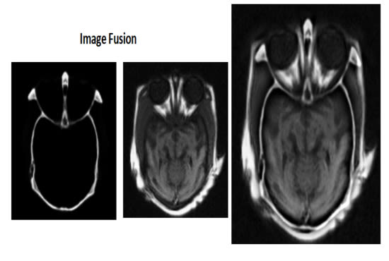 Do digital image processing using matlab, python, opencv by Rahul ...