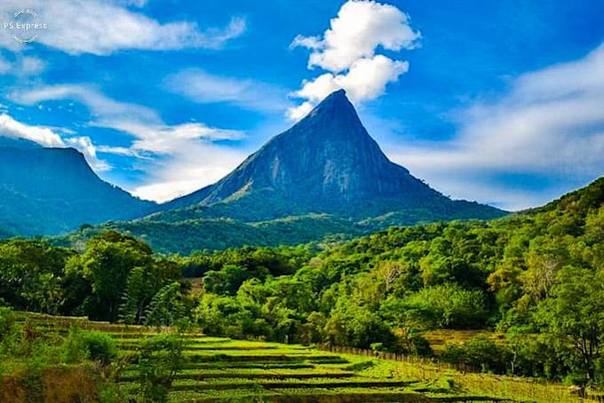 Shoot natural lifestyle and give you best photos of nature by ...