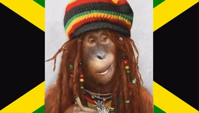 Say anything you like as the rastafari rob barley by Logomagics | Fiverr