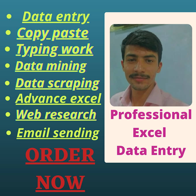 Excel data entry, copy paste, virtual assistant, data entry, web ...