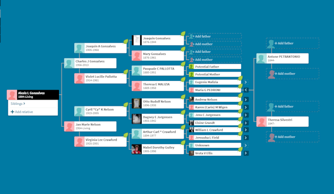 Trace your family tree 3 generations by Ahleesi | Fiverr