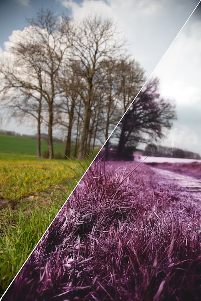 Do an infrared edit of your photos by Maxischoe | Fiverr