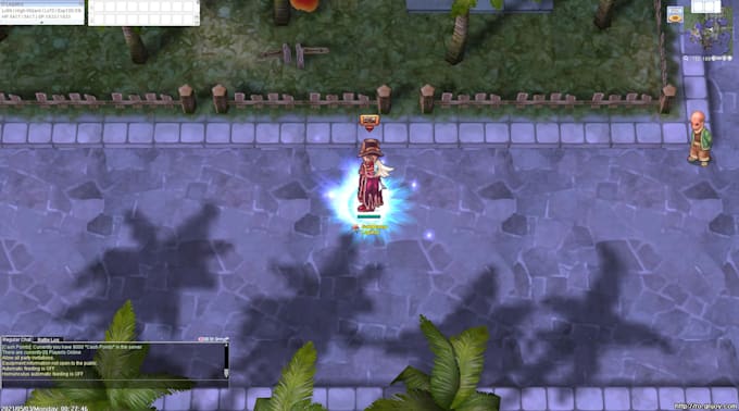 Help you setup you very own ragnarok private server or fivem server by ...