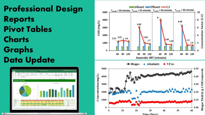 Create excel graphs, charts, pivot table, spreadsheets, formula by ... Create excel graphs, charts, pivot table, spreadsheets, formula by ...