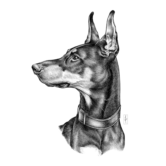 Hand draw graphite pet portraits by Sifwen | Fiverr