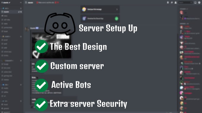 Build a fully functional discord server by Turtleable | Fiverr