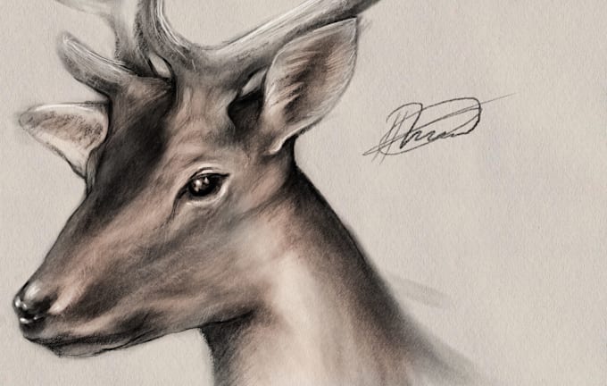 Draw a simple or hyper realistic drawing by Peter_design | Fiverr