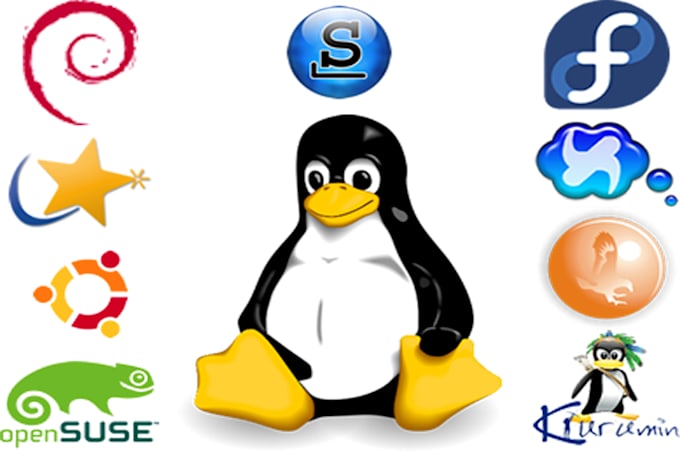 Setup anything on linux based server by Lokendrabam | Fiverr