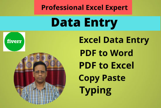 Data entry, excel expert, typing, pdf to word by Ebrahimict | Fiverr