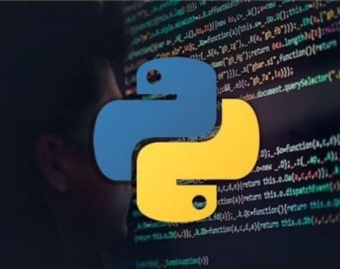 Make A Basic Python Project By Yusuf Erdem0 Fiverr