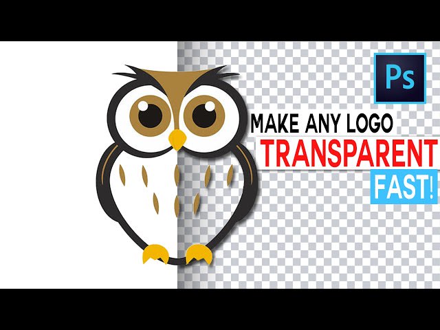 Do transparent logo background by Amir098 | Fiverr