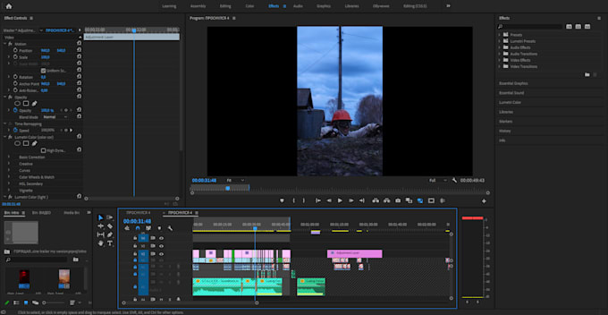 Edit video,color grading,simple graphic,tracking objects,remove greenscreen by Lingwistik | Fiverr