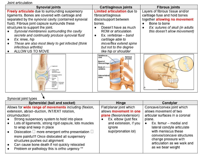 Turn your powerpoint lectures into beautiful study guides by ...