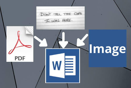 Retype any pdf or scanned document into ms word within 24 hr by ...