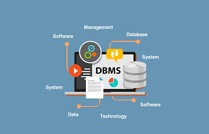 Design dbms for any organization process by Sft3ch | Fiverr