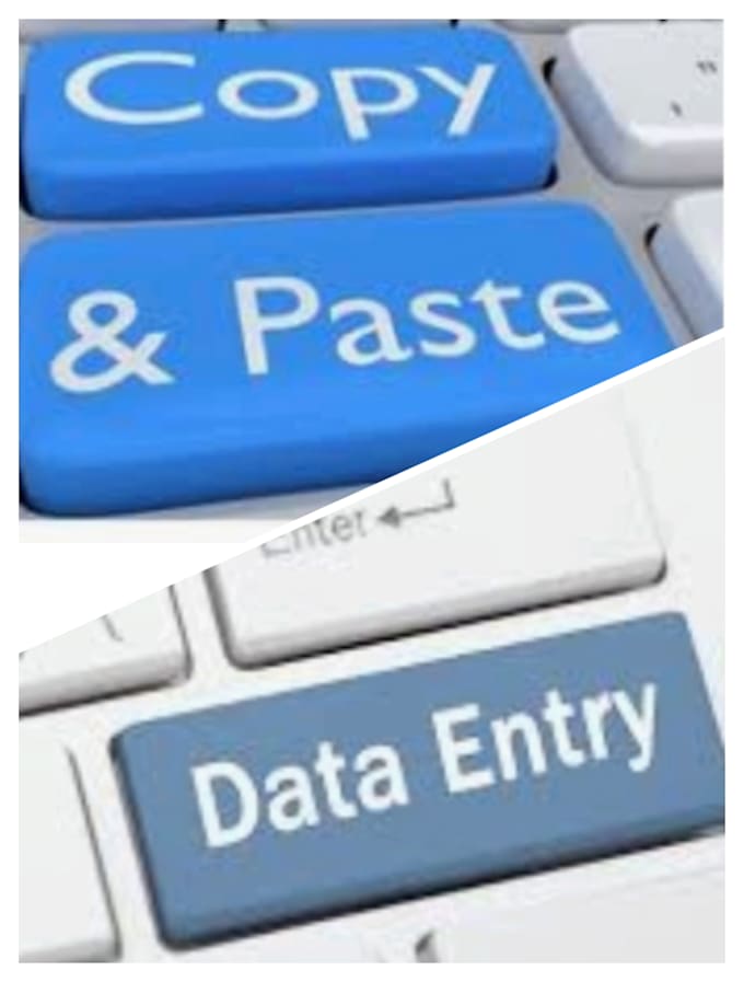 Data entry copy paste ms office,excel etc by Mazdak535 | Fiverr