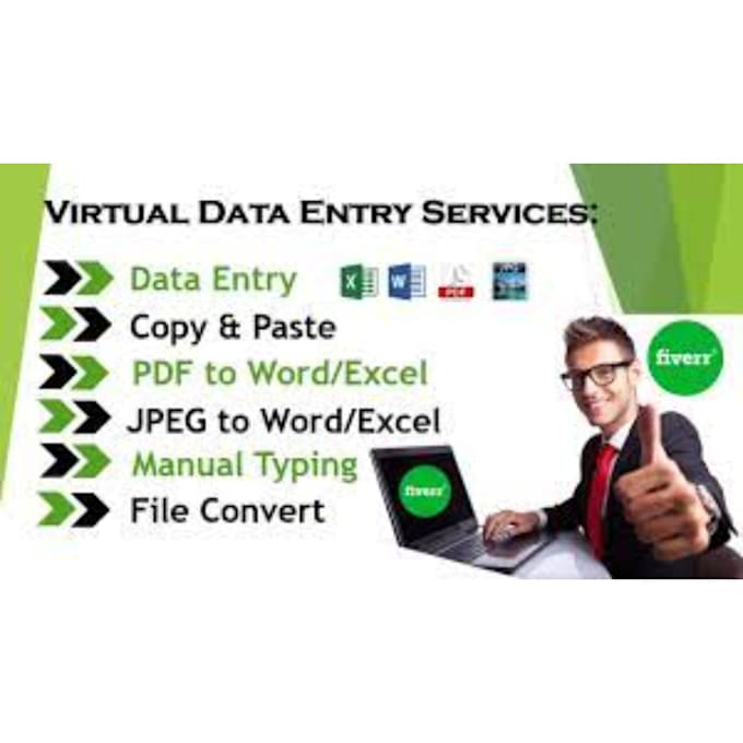 Execute all types of data entry, copy paste, excel work for you by ...