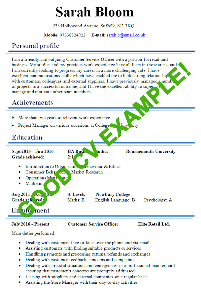 Create a professional, well formated word document by Merison_nelson ...