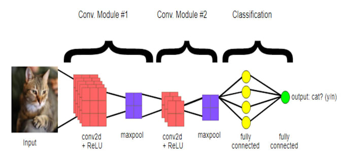 Train convolutional neural network for you by Ahmedsanaull241 | Fiverr