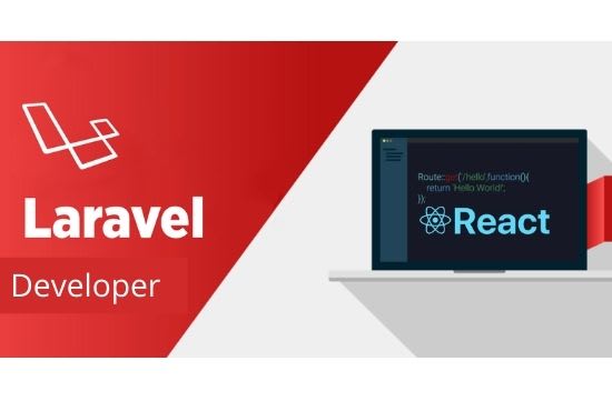 Do modify or create completed laravel web application by Wd_creative ...