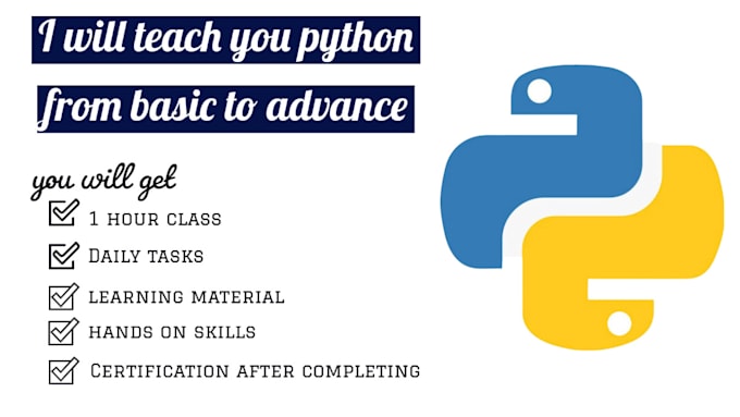 Be your tutor, to teach you python from basic to advance by ...
