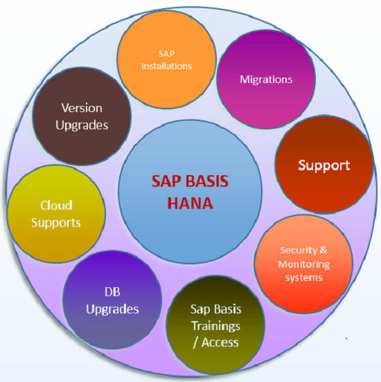 Provide sap basis hana support, installation including,upgrade ...